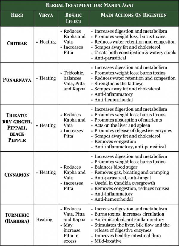 The Three Main Digestive Imbalances of Ayurveda and the Best Herbs for ...