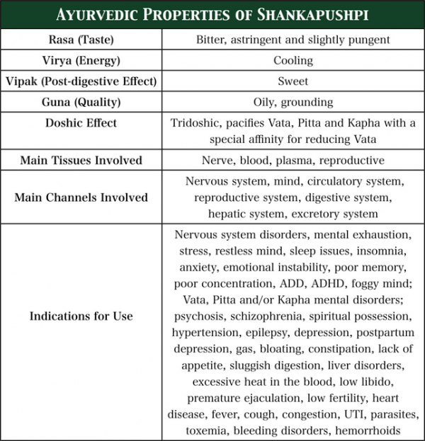 Shankapushpi: Ayurveda's Most Effective Herb for Stimulating the Mind ...