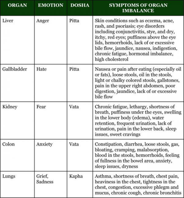 The Relationship Between Our Organs And Our Emotions - Svastha Ayurveda