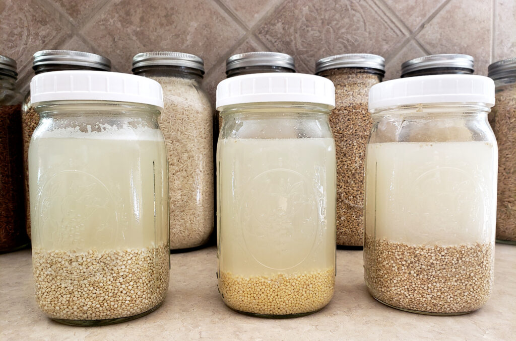 A Complete Guide to Fermenting Grains - Svastha Ayurveda